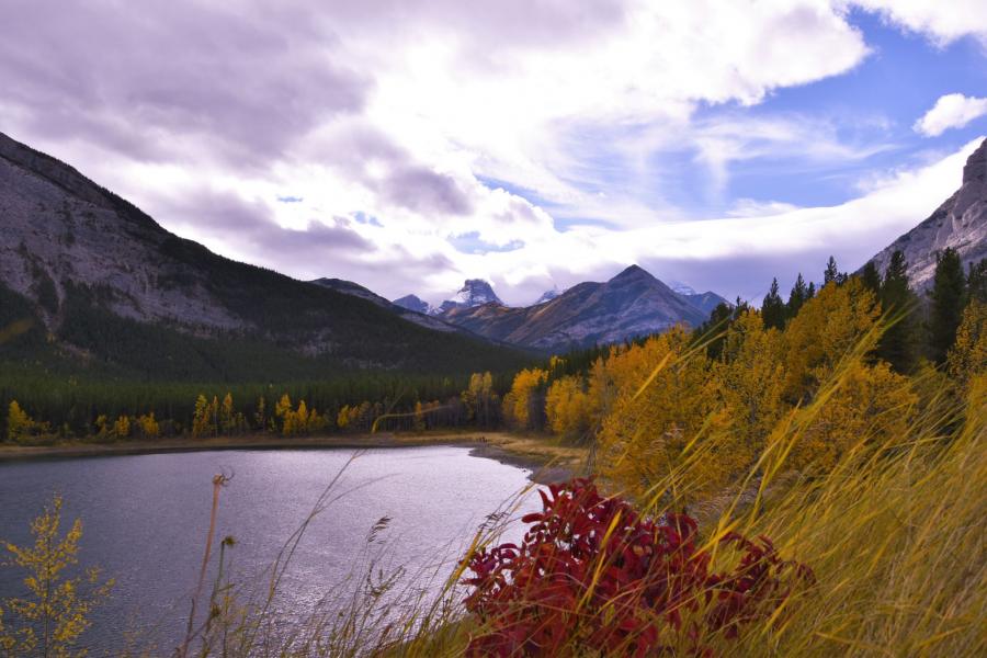 Top photo spots at Wedge Pond in 2021