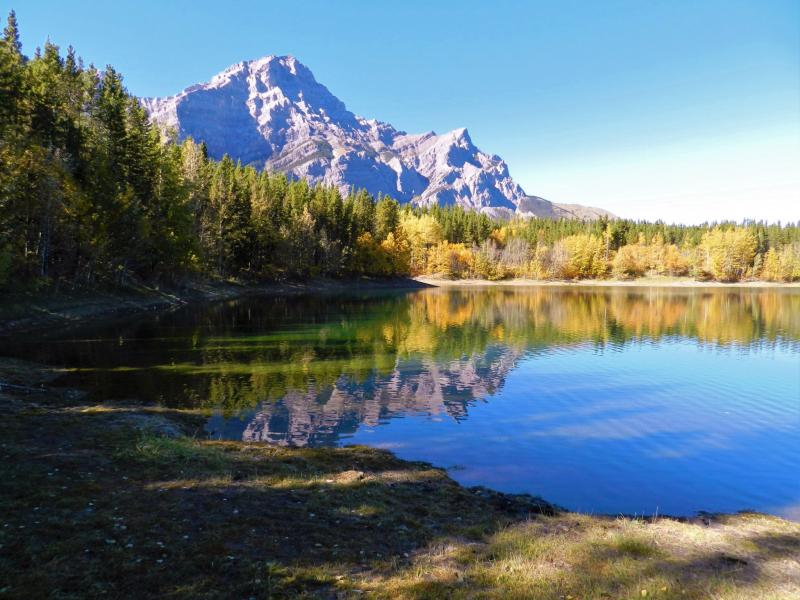 Top Photo Spots at Wedge Pond in 2022