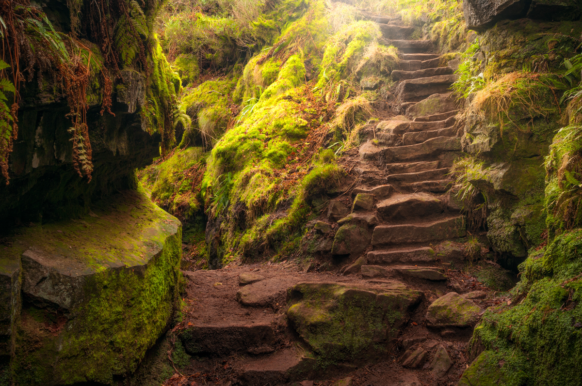 Lud's Church, United Kingdom