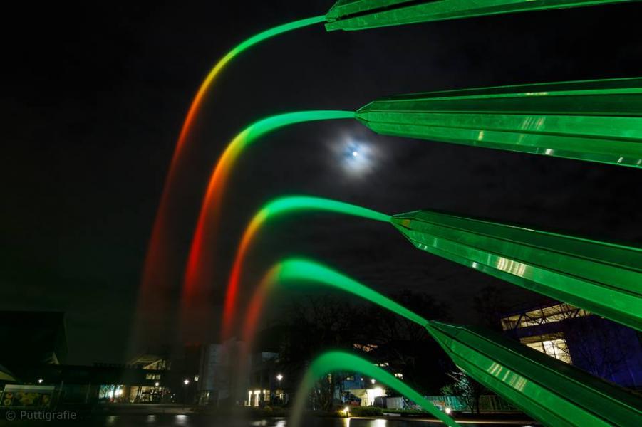 Top Photo Spots at Grugapark in 2022