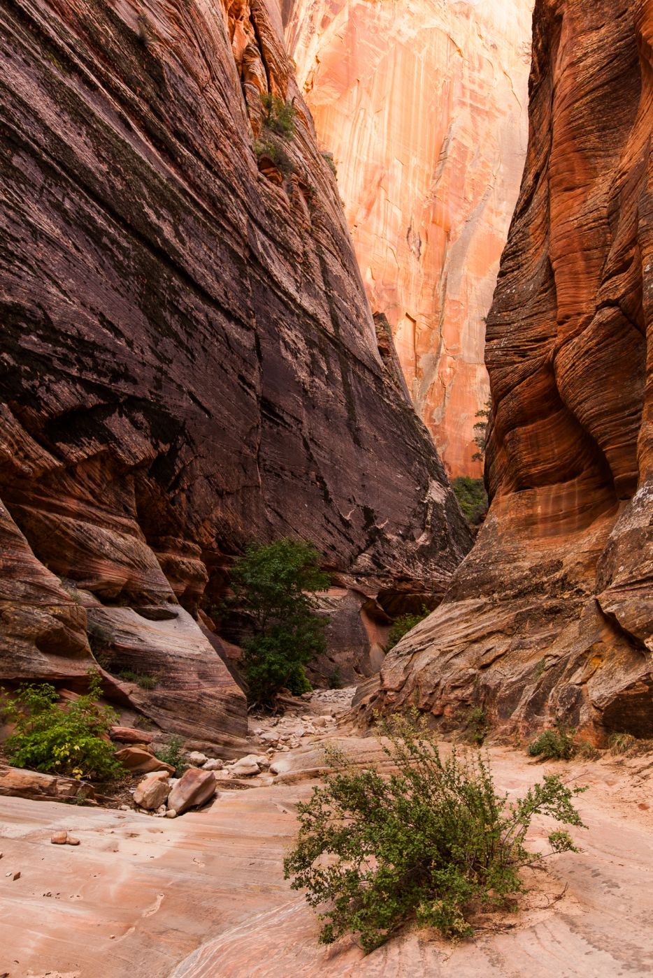 Observation Point, USA