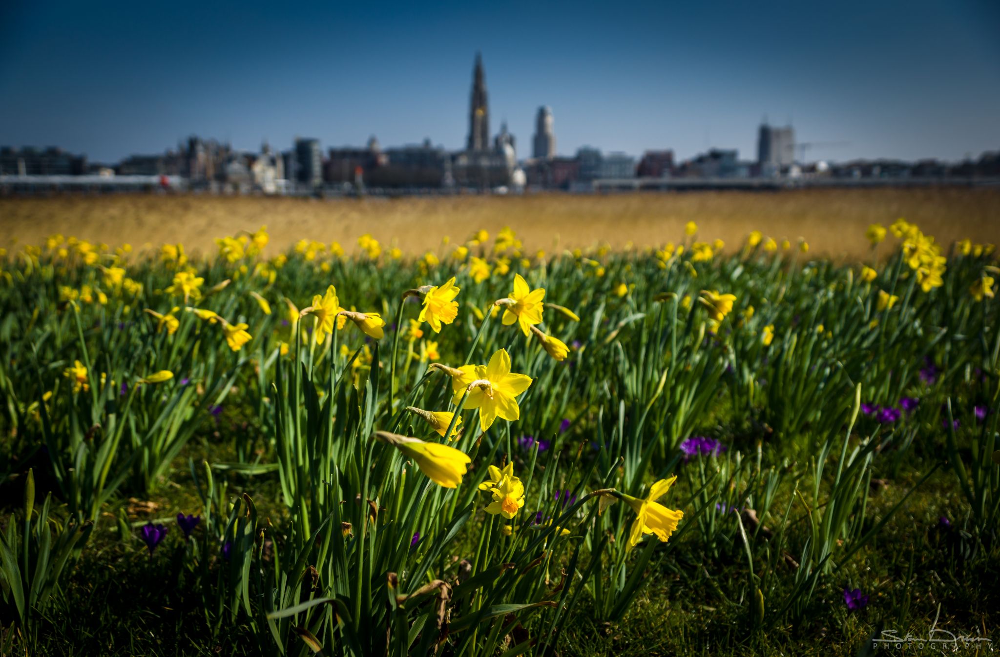 Spring in Antwerp, Belgium