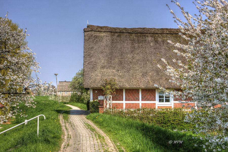 Altes Land - 4 great spots for photography