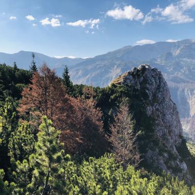 Perucica primeval forest, Sutjeska NP, Bosnia and Herzegovina