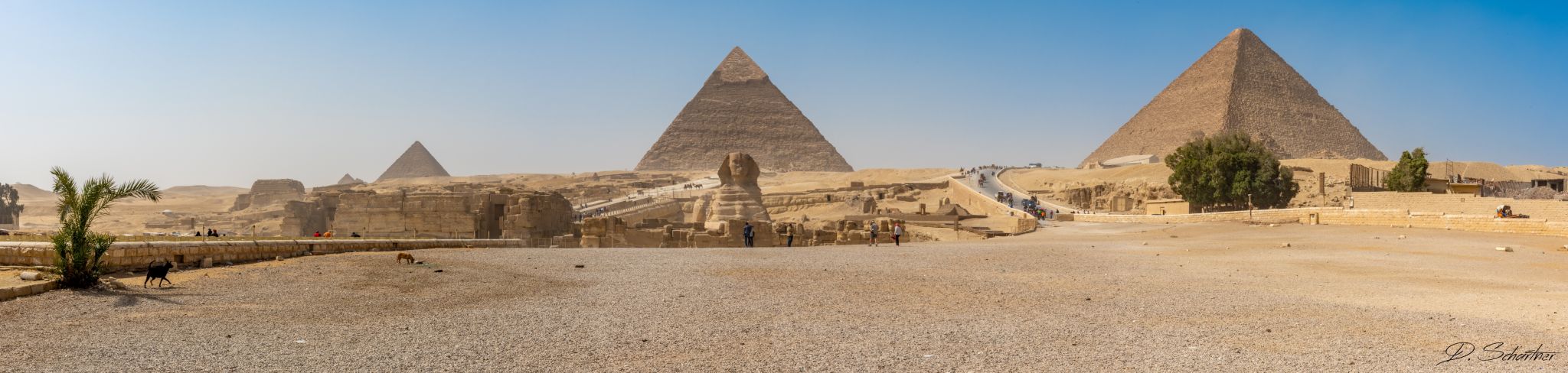Top Photo Spots at sphinx in 2022
