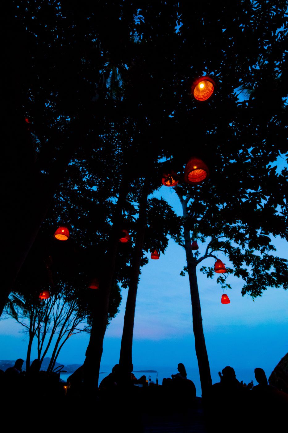 Top Photo Spots At Jungle Club In 2022