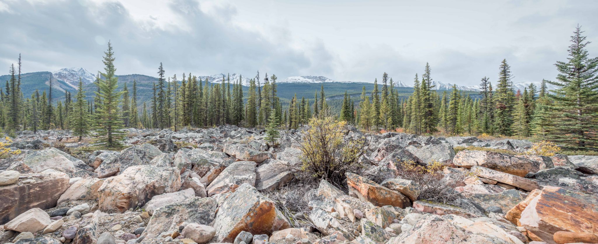Quartzite Boulder Field - Icefields Parkway, Canada