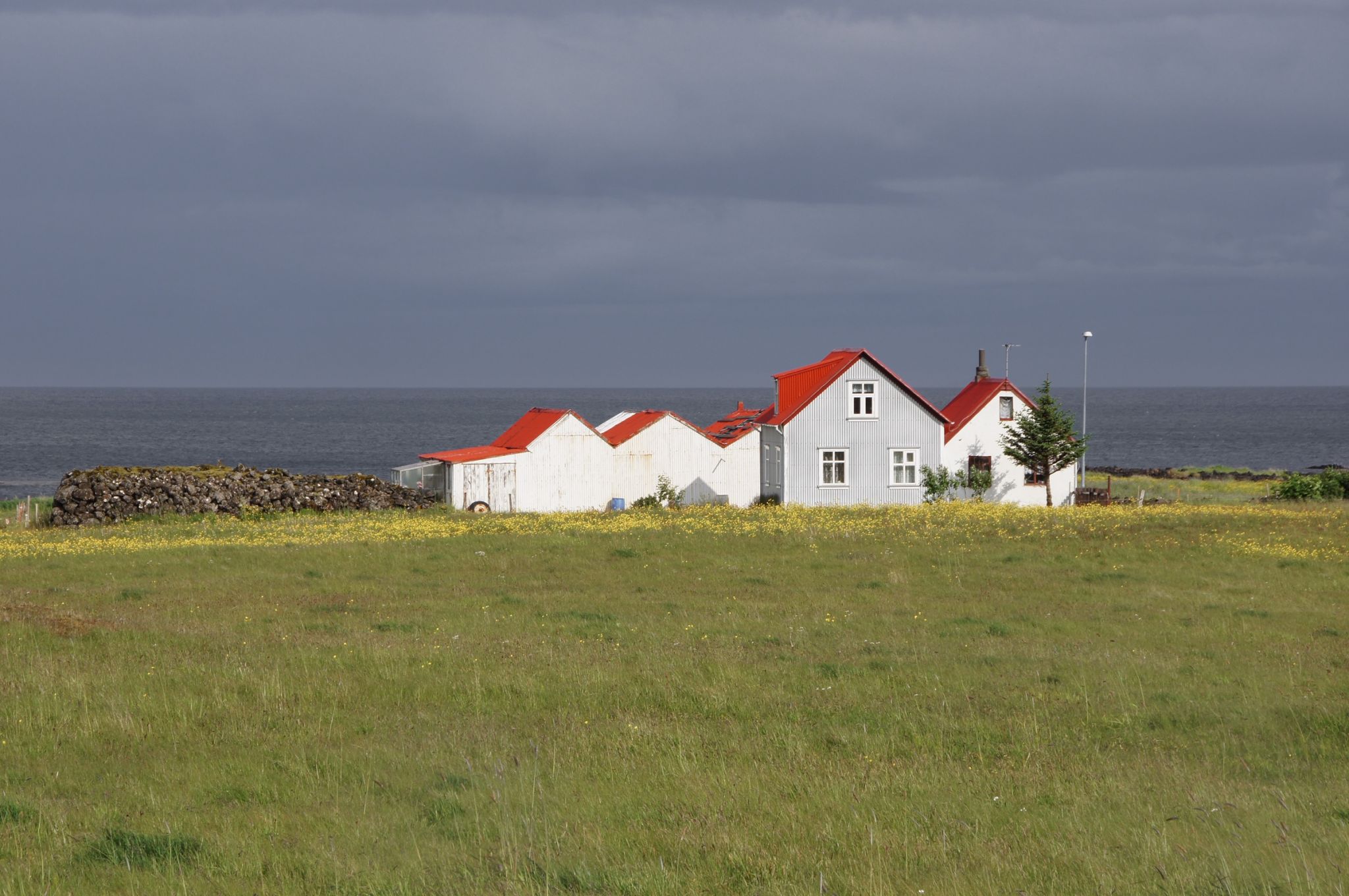 Red roof farm, Iceland