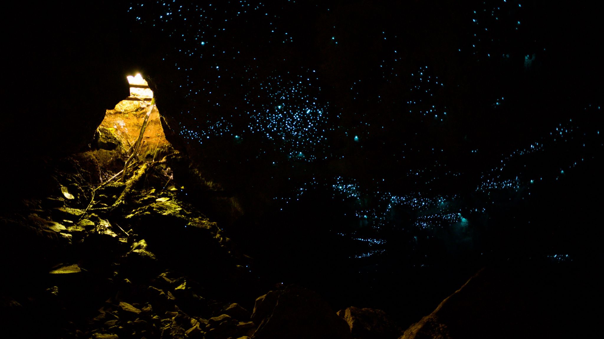 Glow Worm cave trip with Glowing Adventures, New Zealand