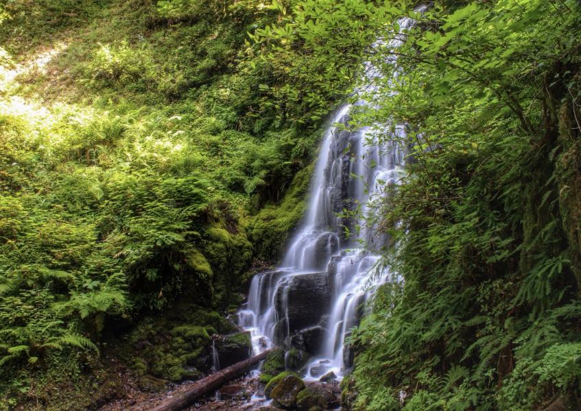 Top photo spots at Fairy Falls in 2022