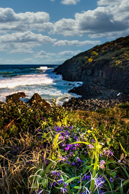 Top 5 Photo Spots at Hat Head in 2022