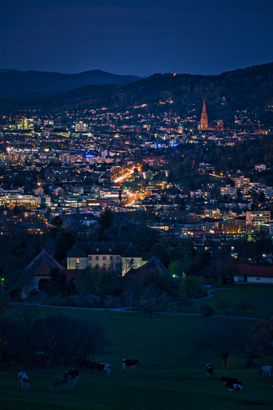 Top Photo Spots at Merzhausen in 2022