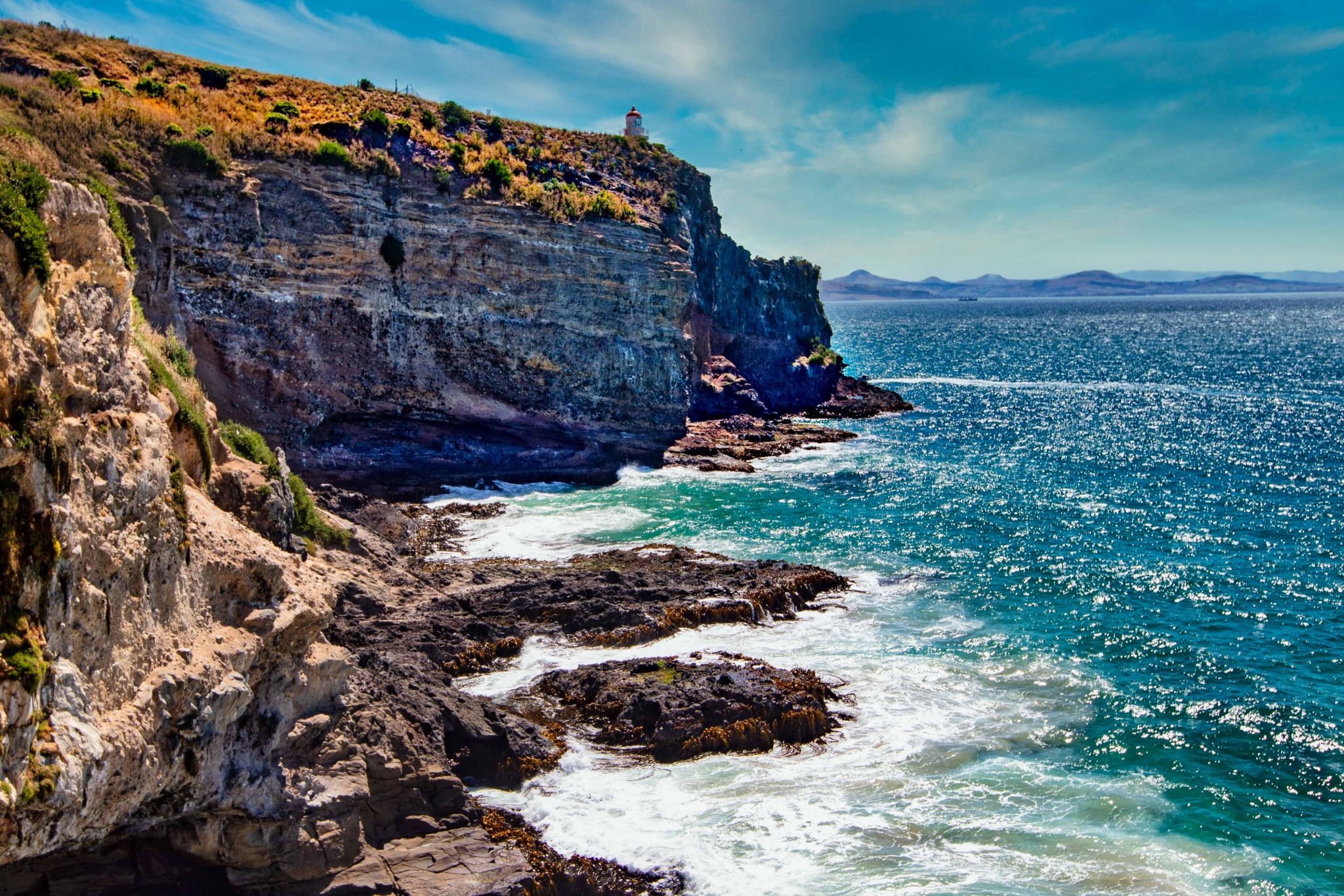 Top 3 Photo Spots at Taiaroa Head in 2022