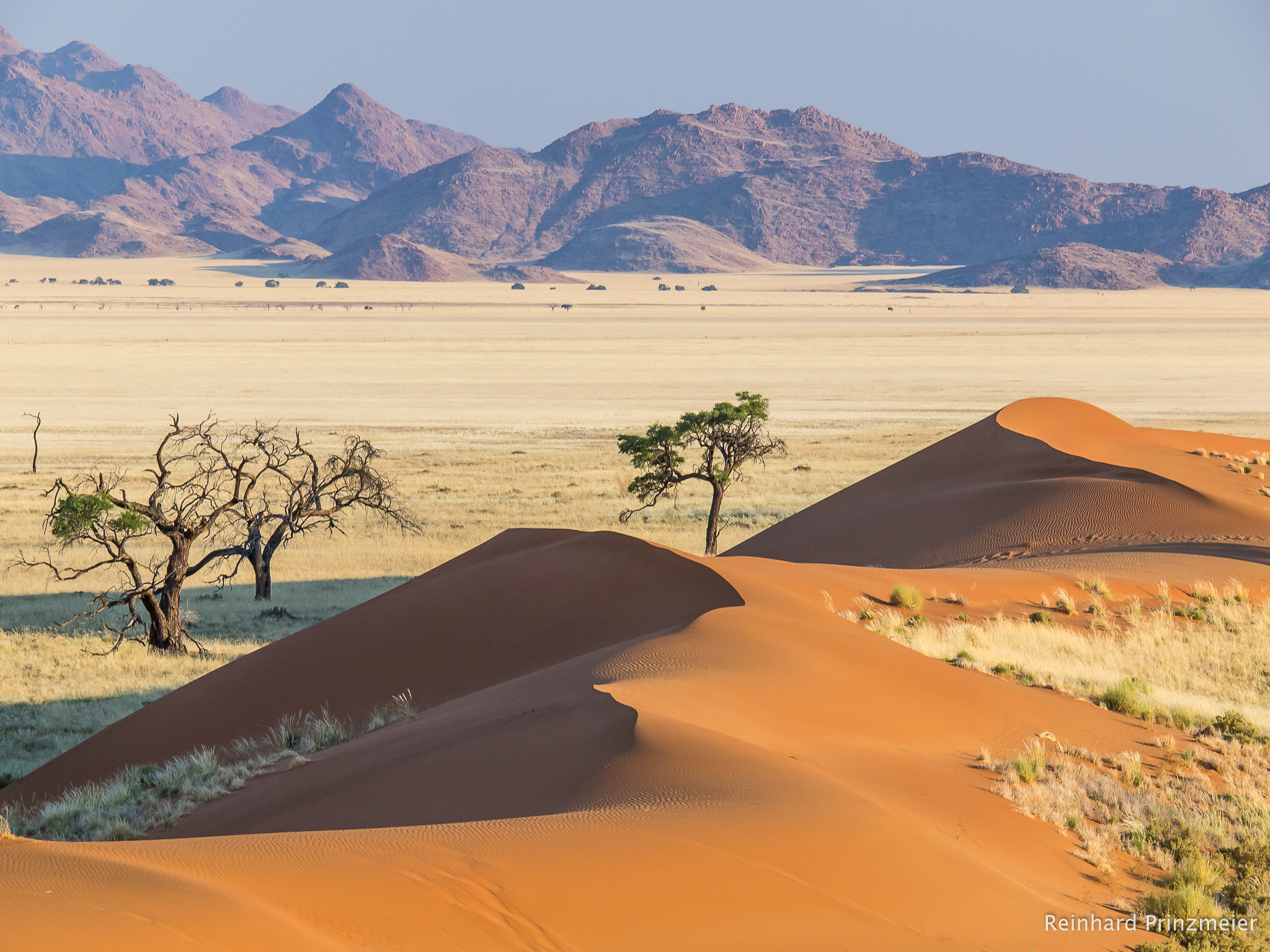 Wild Animals Top Spots For This Photo Theme