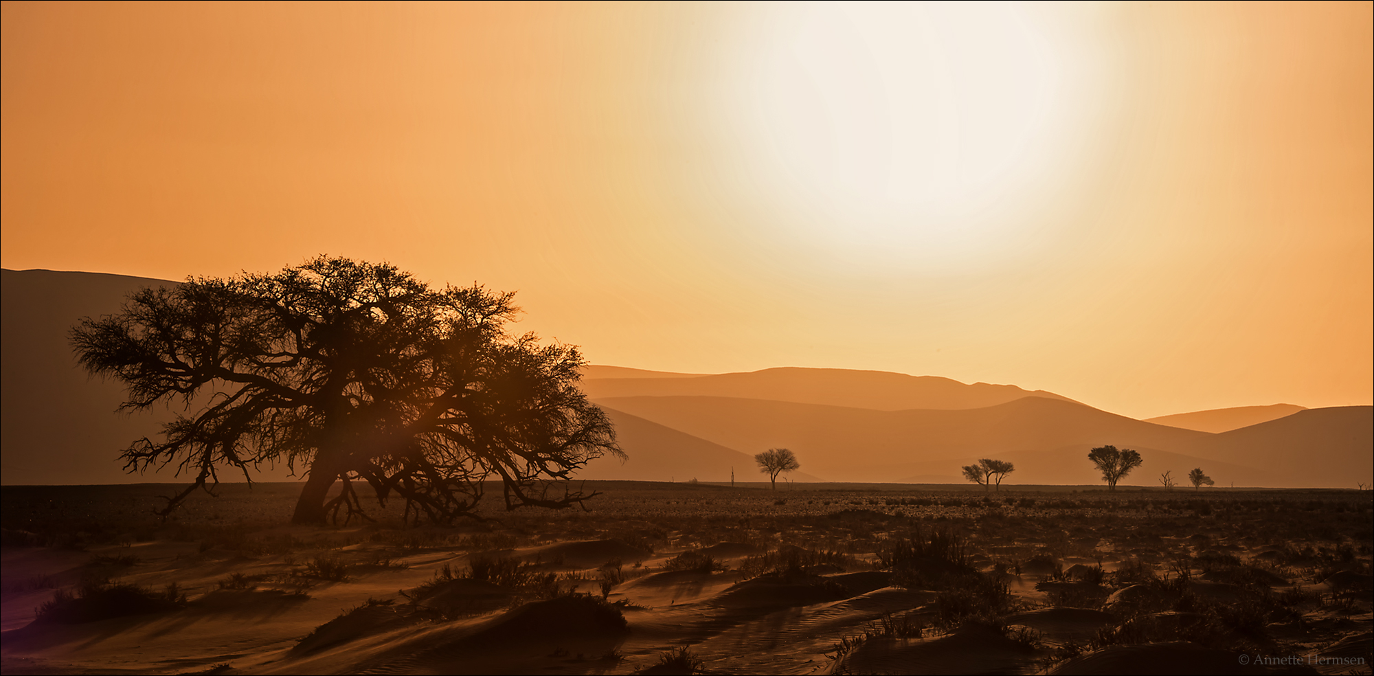 Namib sunset, Namibia