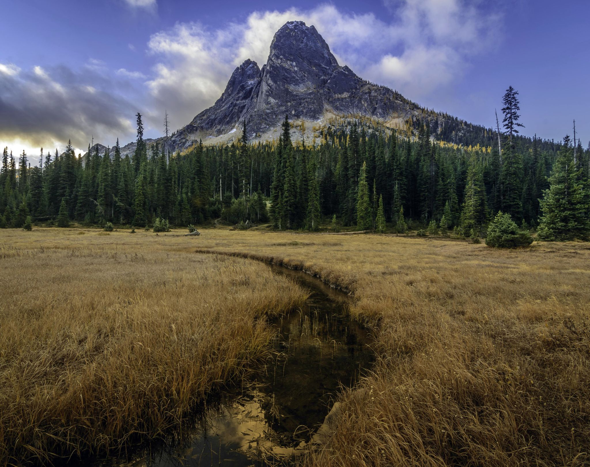 Liberty Bell Meadow, USA
