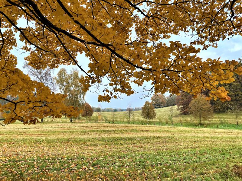Ruzova - 2 great spots for photography